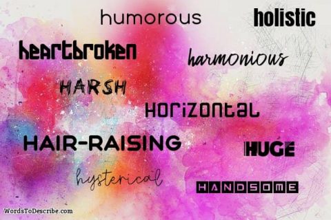 147 Adjectives That Start With H | Words To Describe